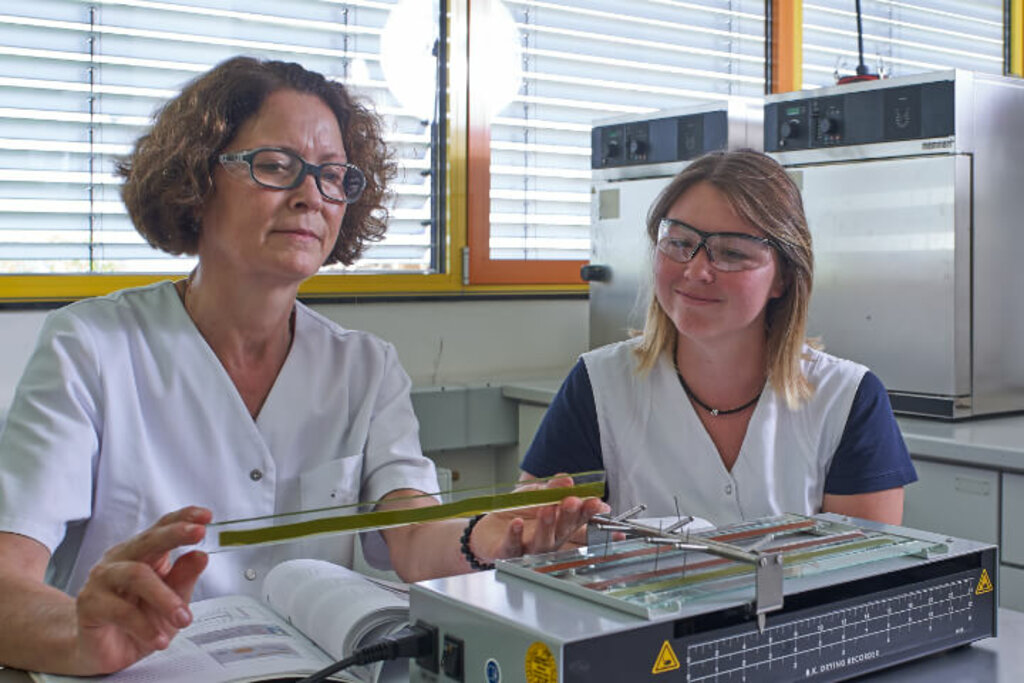 Karriere: CAPAROL CIS